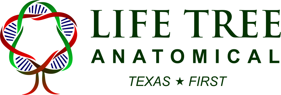 Ready to Donate Your Body to Science? | LifeTree Anatomical