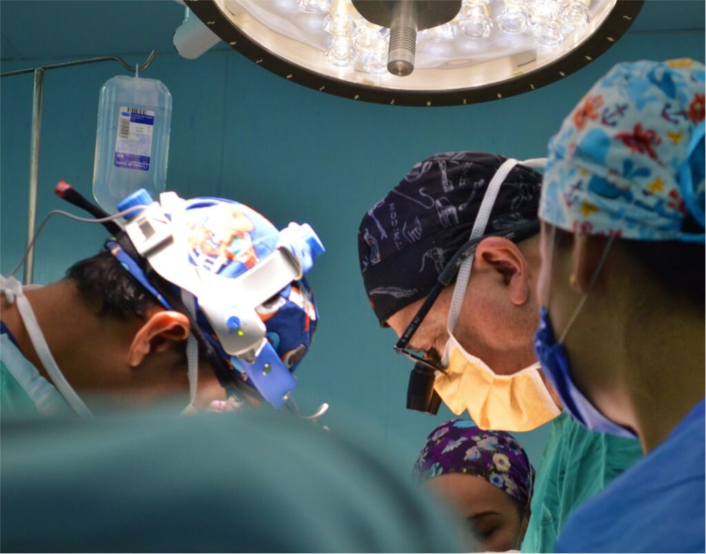 Importance of your body donation - Life Tree Anatomical