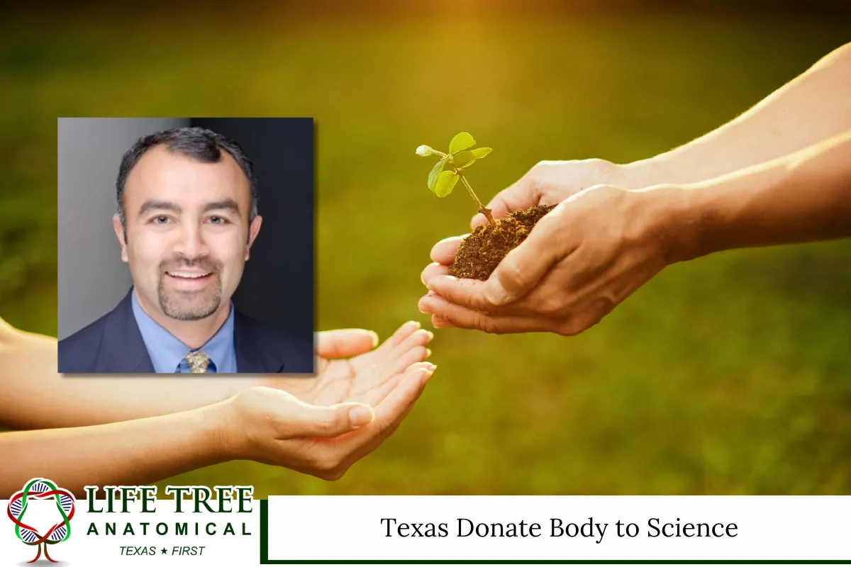 Top 5 Myths About Donating Your Body to Science – Debunked - Life Tree ...