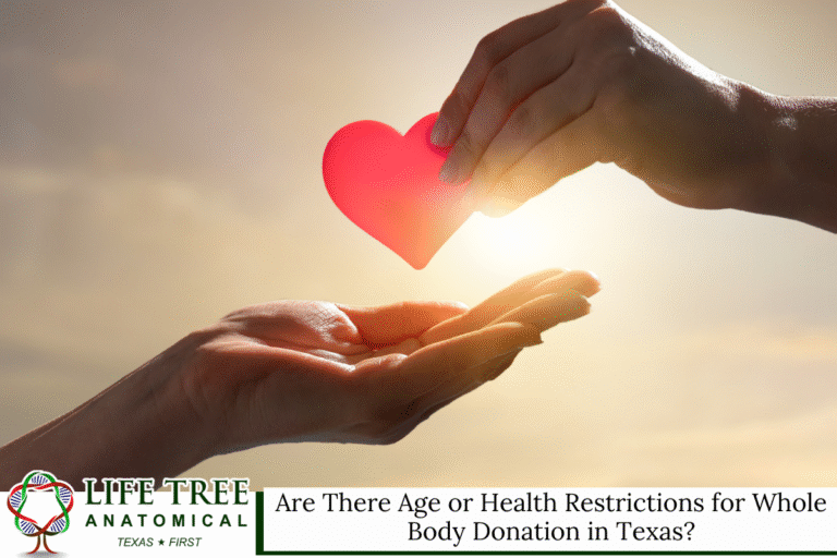Are There Age or Health Restrictions for Whole Body Donation in Texas?