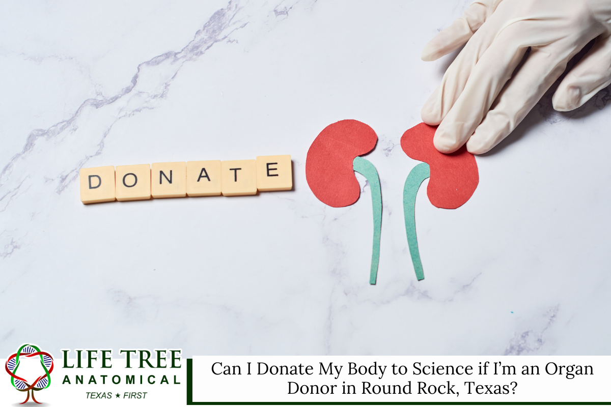 Can I Donate My Body to Science if I’m an Organ Donor in Round Rock, Texas?