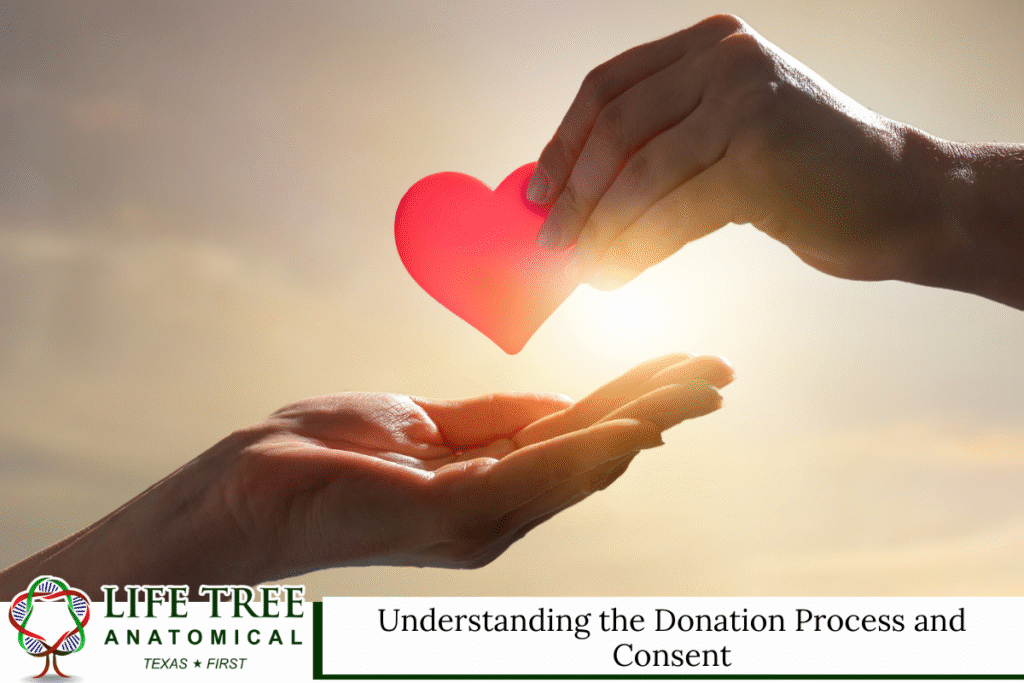 Whole Body Donation in Texas: Who Qualifies and Who Doesn’t? | Life ...