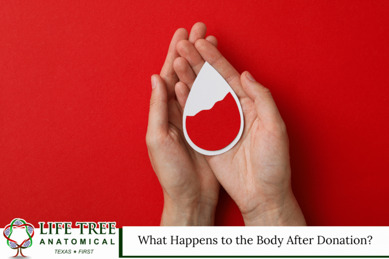 Whole Body Donation in Texas: Who Qualifies and Who Doesn’t? | Life ...