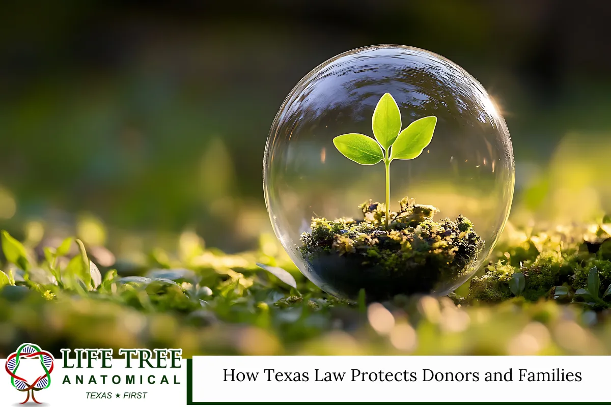 Whole Body Donation in Texas: Does It Cost Money to Donate Your Body to ...